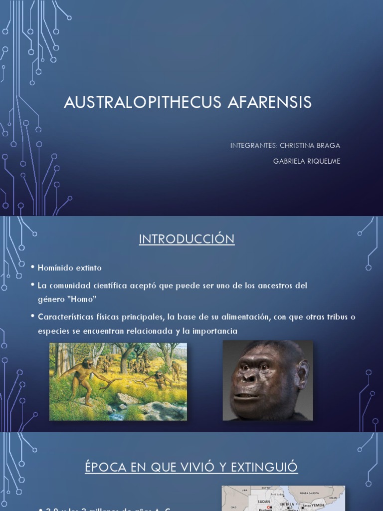Australopithecus Afarensis | PDF
