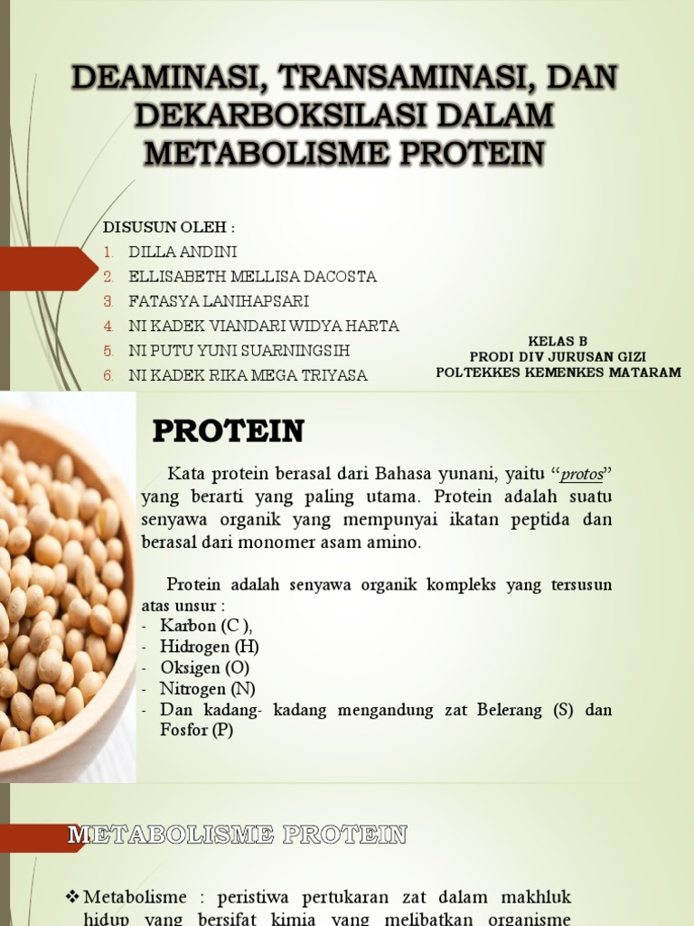 Deaminasi, Transaminasi, Dan Dekarboksilasi Dalam Metabolisme | PDF
