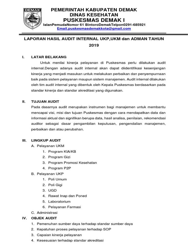 Laporan Hasil Audit | PDF