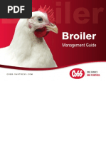 Hisex Brown Layer Management Guide | PDF | Selective Breeding | Chicken
