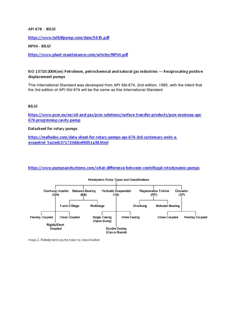 Gear Pumps & API 676 | PDF