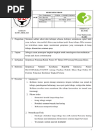 Panduan Tatalaksana Serumen Prop | PDF | Kesehatan Holistik