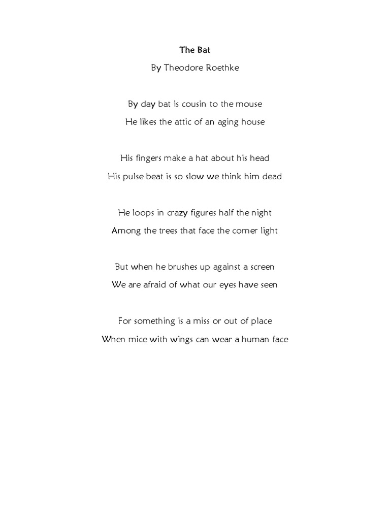 Poem Analysis The Bat