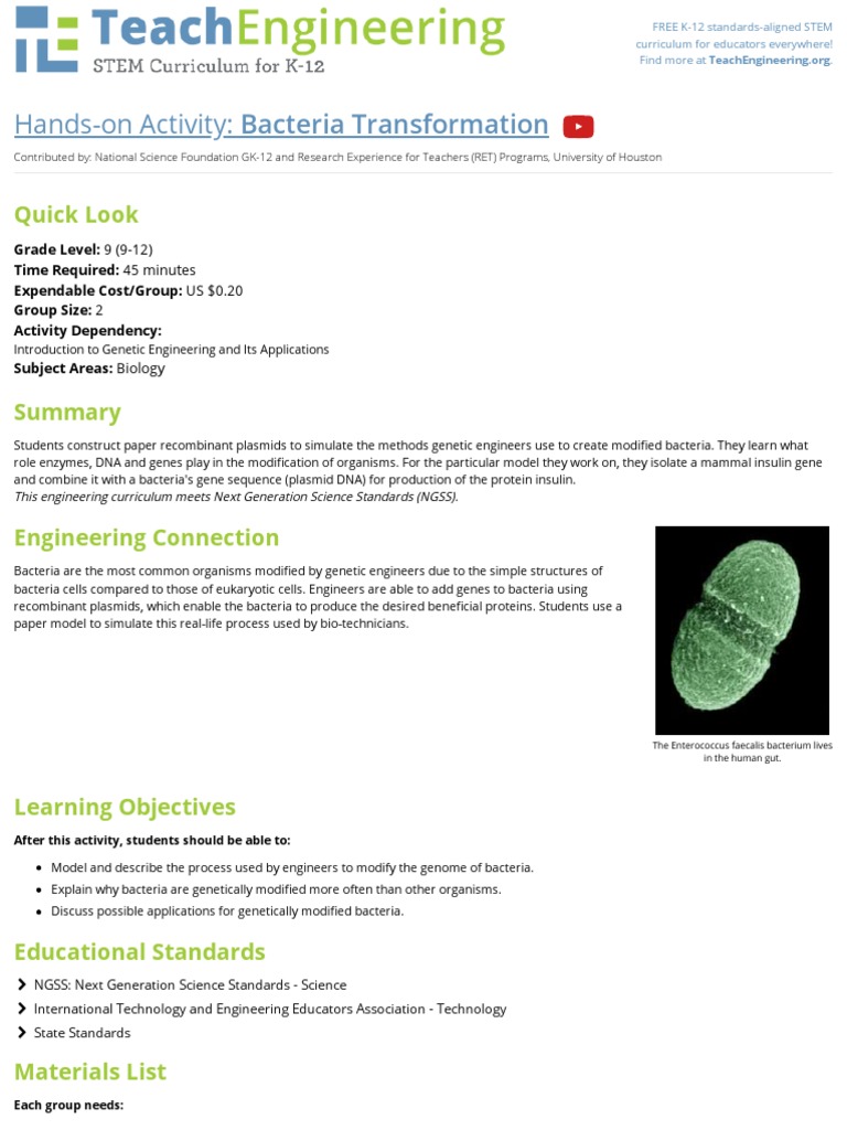 Bacteria Transformation - Activity - TeachEngineering | PDF | Plasmid | Dna