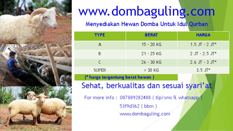 Brosur Domba | PDF | Memasak, Makanan, & Anggur