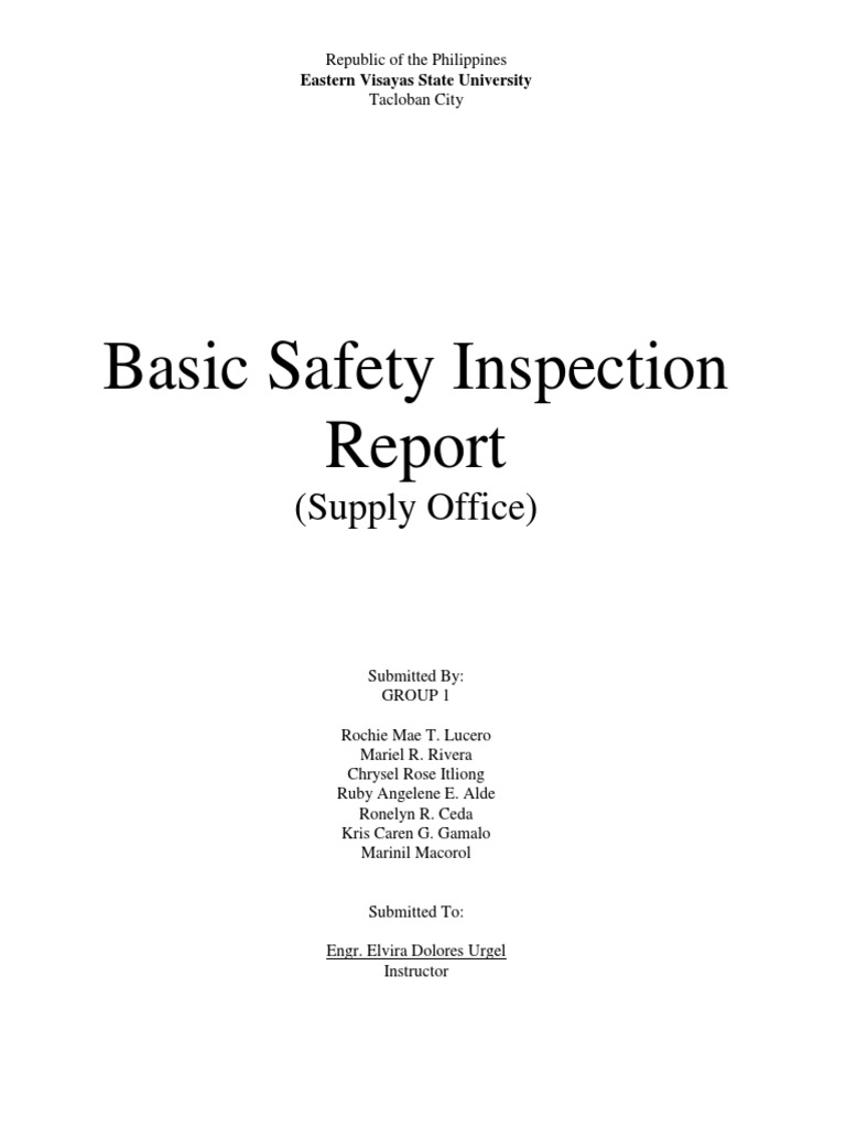 Basic Inspection Report | PDF | Prevention | Safety