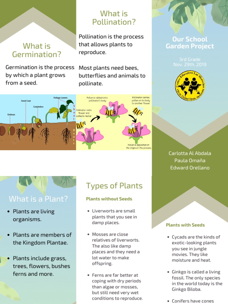 Plant Brochure | PDF | Pollination | Plants