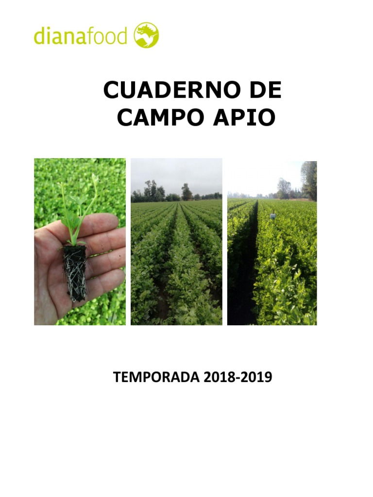 Cuaderno Campo Apio 2019 | PDF | Emulsión | Riego