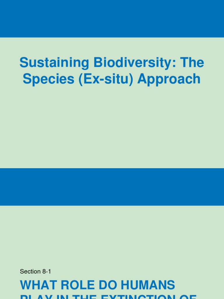Human Impact on Species Extinction | PDF | Extinction | Endangered Species