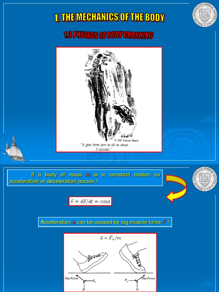 Physics of Body Crashing | PDF | Friction | Force