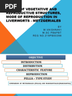 Pteridophytes General Characters PPT by Easybiologyclass | PDF
