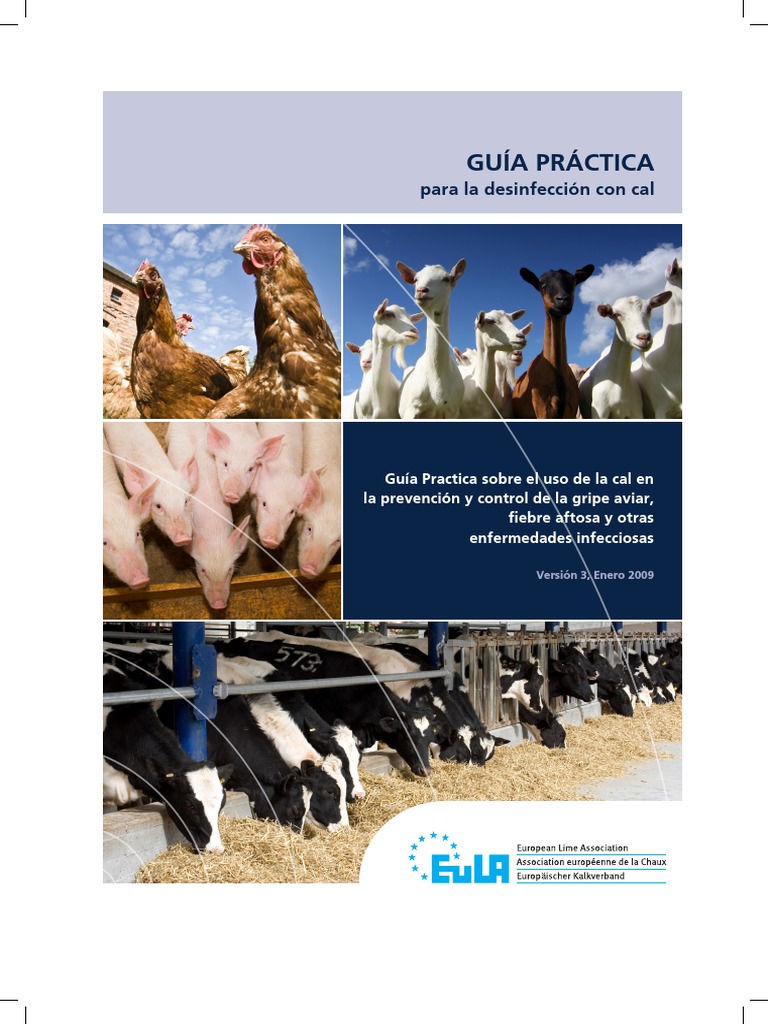 Guía Practica para La Desinfección Con Cal | PDF | Agua | Bienestar