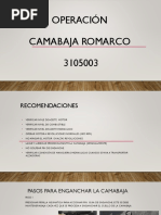 12 Reglas Cardinales | PDF