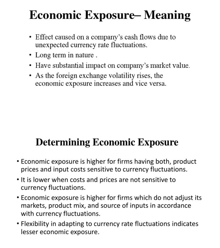 Understanding Economic Exposure Risks | PDF | Finance & Money ...