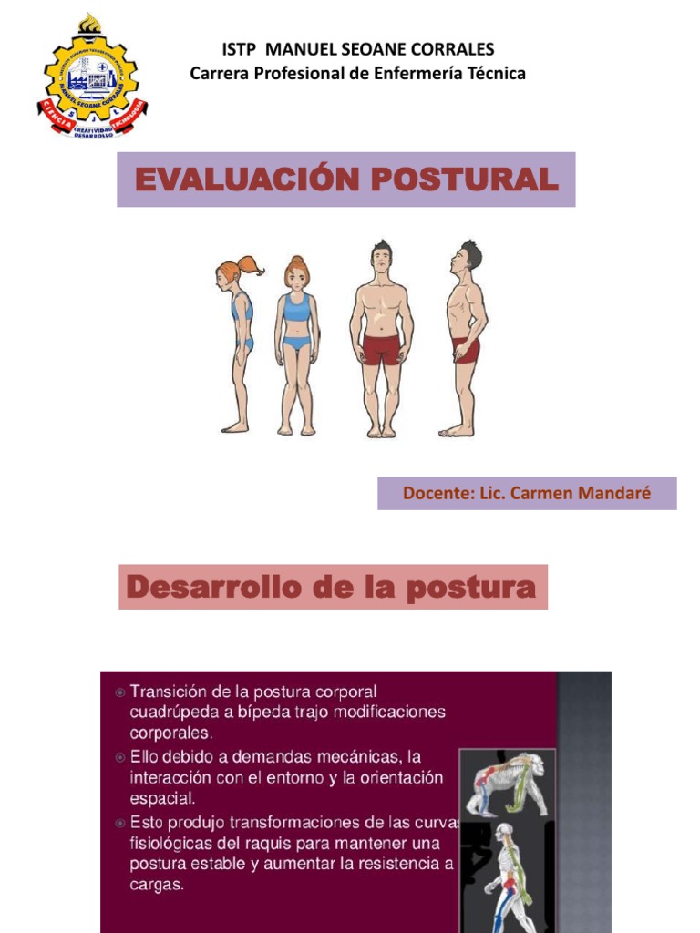 Evaluación Postural en Enfermería | PDF | Bipedalismo | Músculo