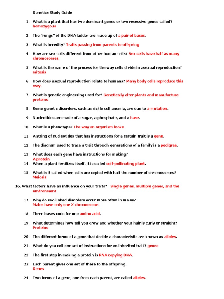 Genetics Study Guide Answers 1 | PDF | Gene | Phenotypic Trait