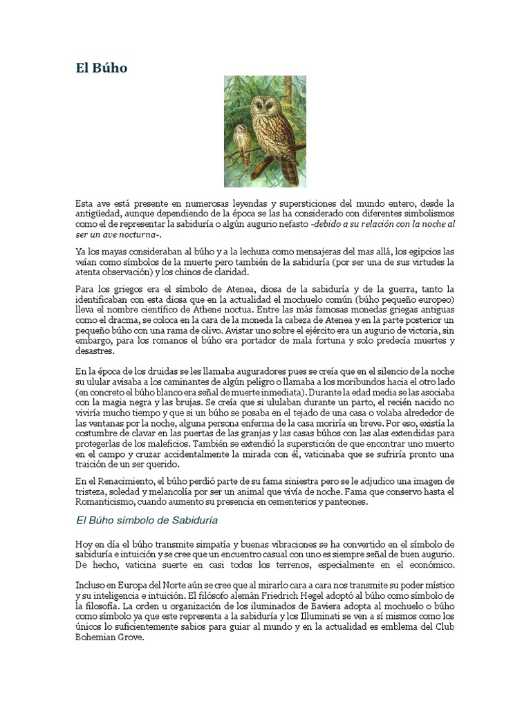 El Búho símbolo de Sabiduría | PDF