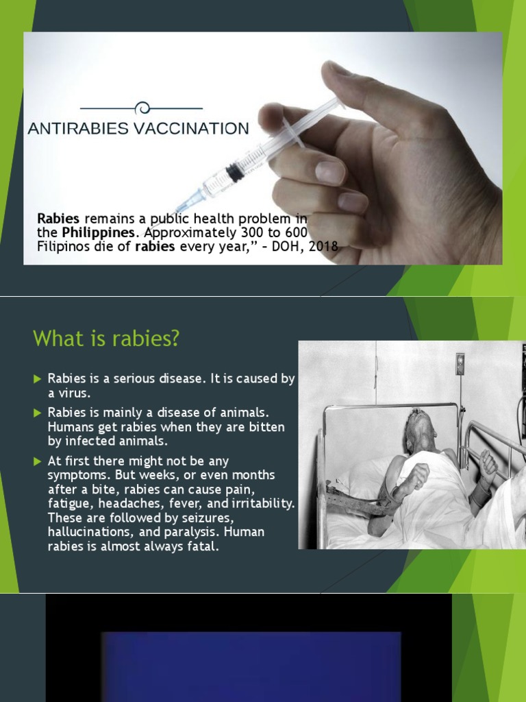 Anti Rabies Vaccination | PDF | Rabies | Vaccines