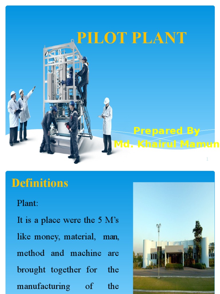 Pilot Plant Final | PDF | Pharmaceutical Formulation | Verification And ...