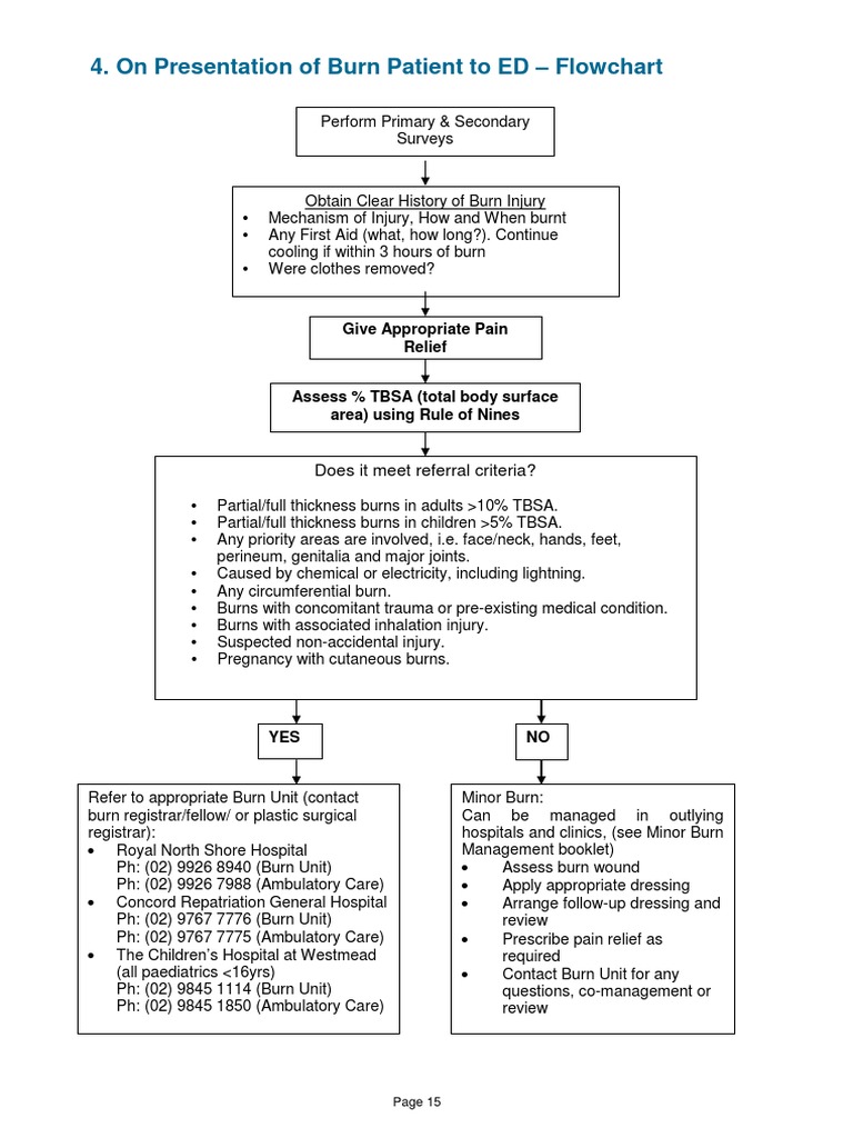 2014 Burn Patient Management - Clinical Practice Guidelines | Burn ...