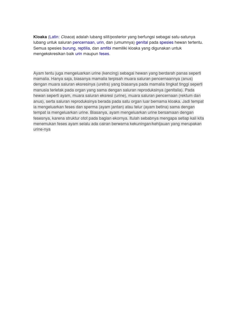 Kloaka | PDF