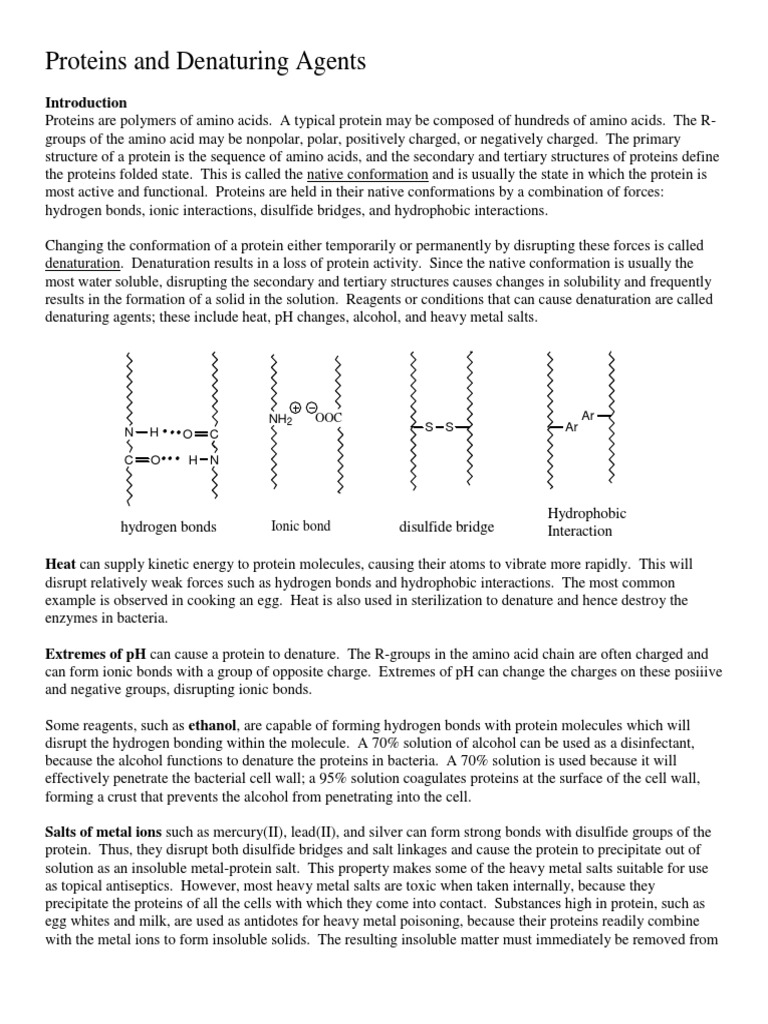 Protein Denaturation Methods and Effects | PDF | Denaturation ...