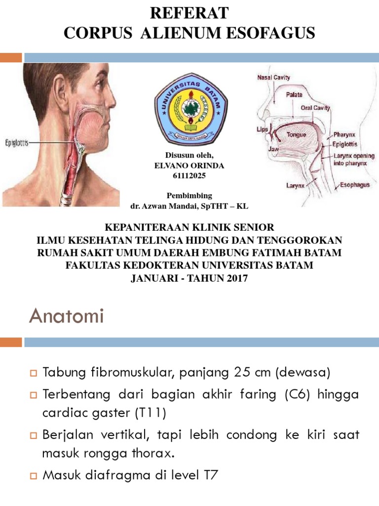 Corpus Alienum Esofagus | PDF | Sains & Matematika