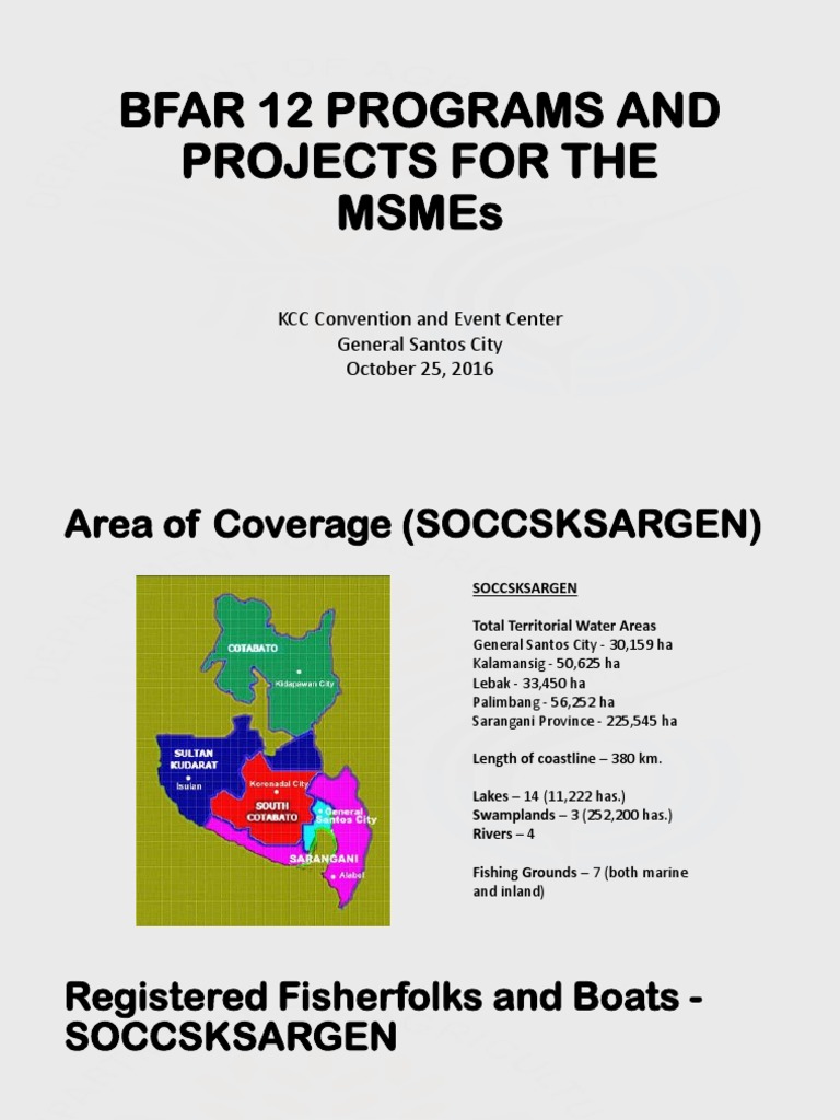 BFAR 12 Programs for SOCCSKSARGEN MSMEs | PDF | Business | Nature