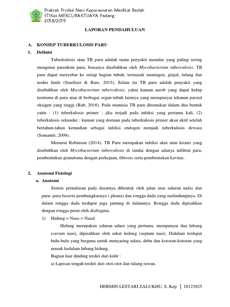 LP TB Paru | PDF