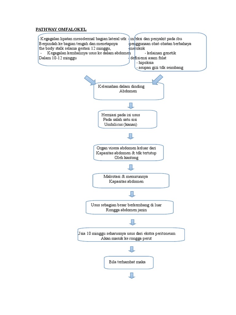 Pathway Omfalokel | PDF
