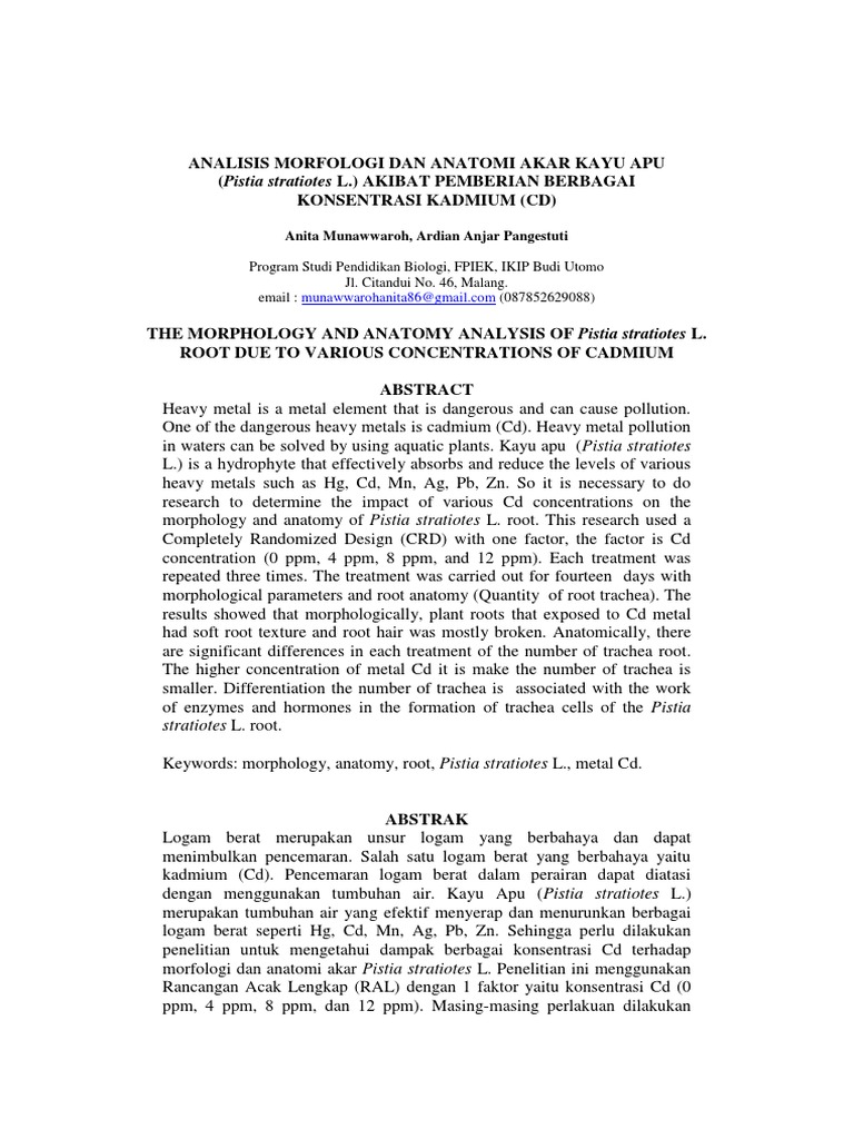 Analisis Morfologi Dan Anatomi Akar Kayu Apu (Pistia Stariotes L ...