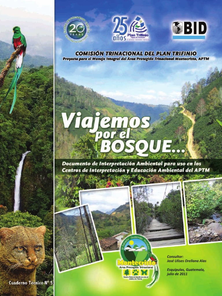 Libro - Viajemos Por El Bosque | PDF