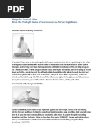 Animal Action Verbs - Movement | PDF