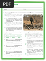 Crucigrama del Medio Ambiente Resuelto | PDF | Entorno natural | Vida