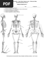 Gato Porteño (Foolklore) | PDF