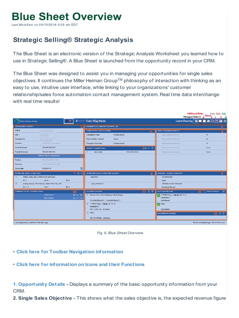 Blue Sheet Overview | PDF | Customer Relationship Management | Icon ...