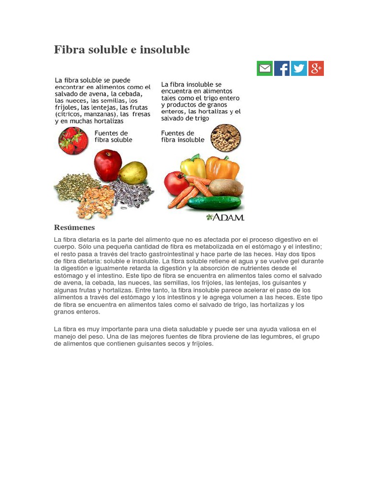 Fibra Soluble e Insoluble | Fibra dietética | Nutrición