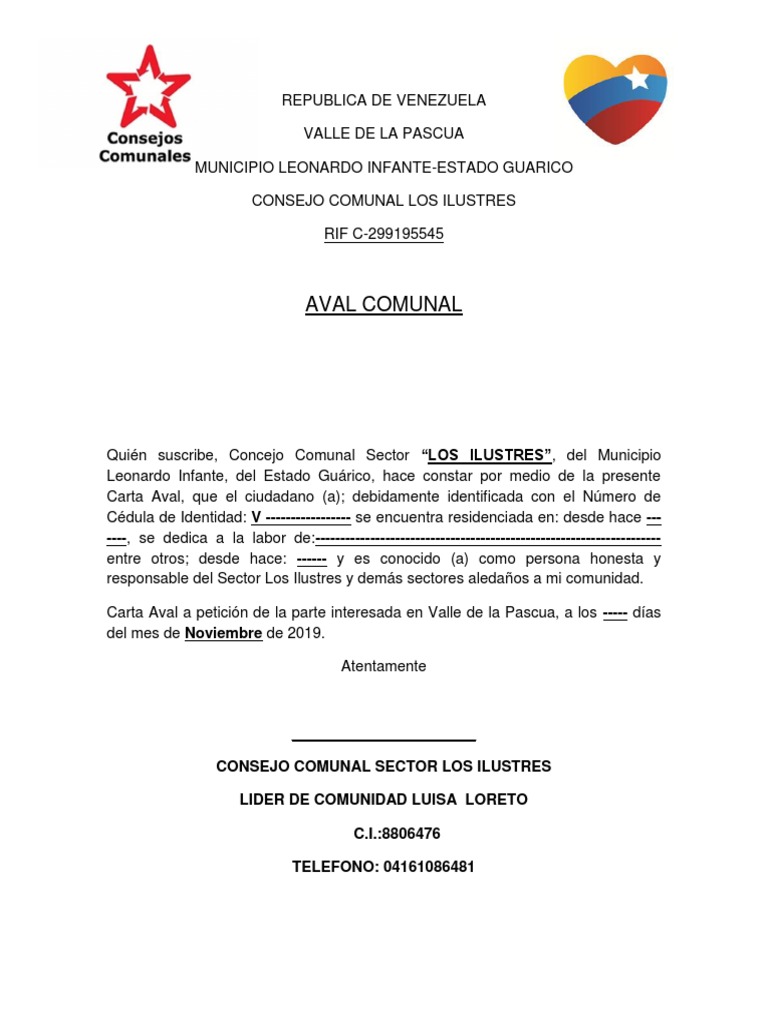 Formato de Carta Aval | PDF