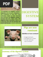Digestive System of Goats | PDF | Ruminant | Digestion