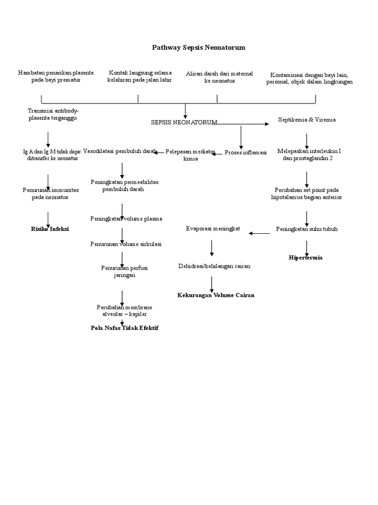 Pathway Sepsis Neonatorum | PDF