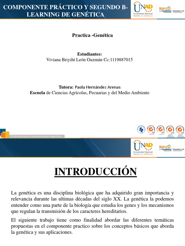 Taller 2 Presentacion - Power Point Exposicion | PDF | Dominancia ...