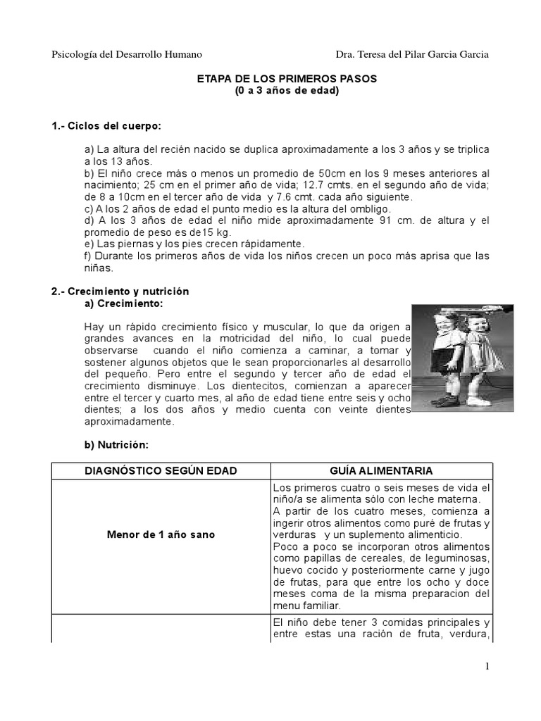 Etapa de Los Primeros Pasos | PDF | Aquisición de idioma | Alimentos