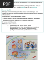 Sinaps: Jenis, Fungsi, dan Mekanisme | PDF