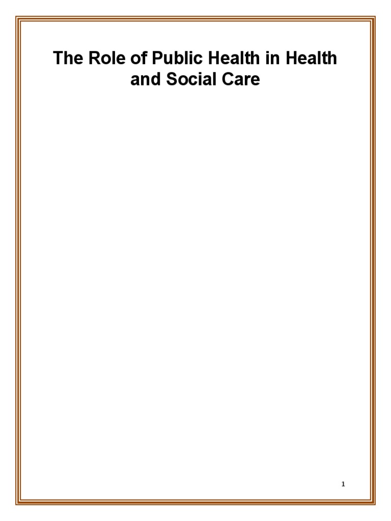 Assignment On Public Health Care | PDF | Public Health | National ...