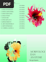 Klasifikasi Dan Morfologi Bunga Mawar | PDF | Griya & Taman