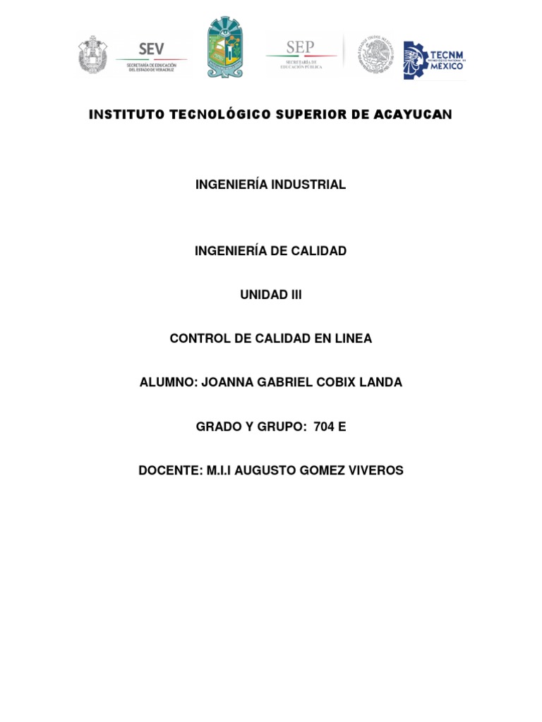 Calidad en Linea | PDF | Gestión de la calidad | Iso 9000