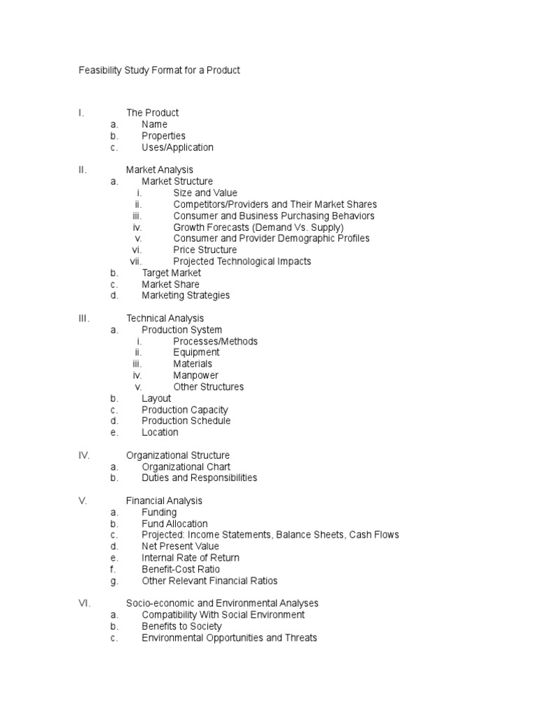 Product Feasibility Study Format | PDF | Business