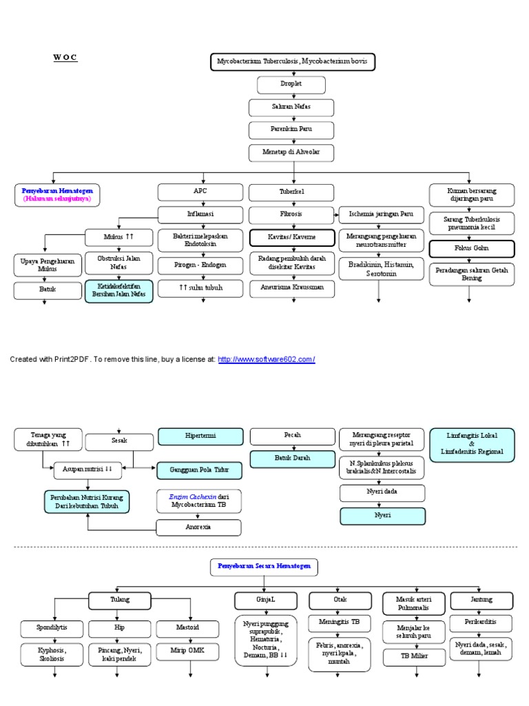 WOC Tuberkulosis | PDF