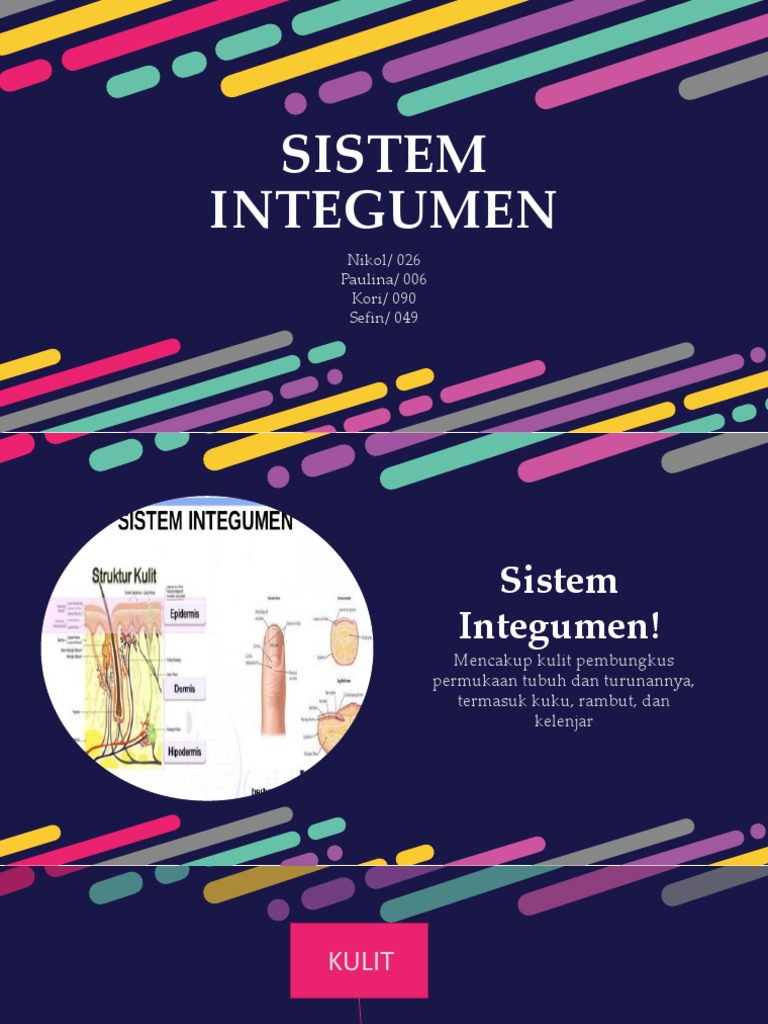 Struktur dan Fungsi Sistem Integumen | PDF