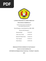 Laporan Akhir Praktikum Kebisingan | PDF